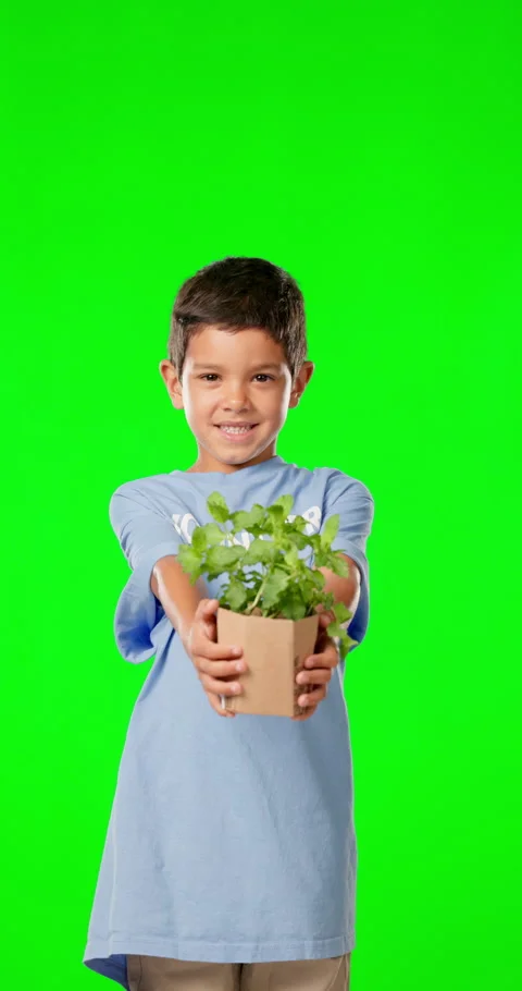 Children, plants and boy on a green scre... | Stock Video | Pond5
