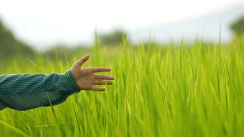 Children playing and spread out hands to... | Stock Video | Pond5