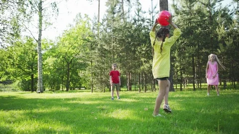 Dodgeball Game Stock Videos – Royalty-Free HD & 4K Videos