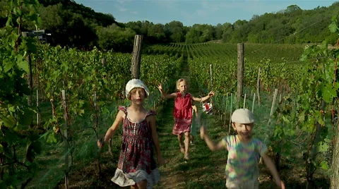 Children playing at the vineyard. | Stock Video | Pond5