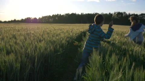 children playing in a wheat field at sun... | Stock Video | Pond5
