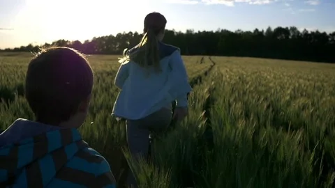 children playing in a wheat field at sun... | Stock Video | Pond5