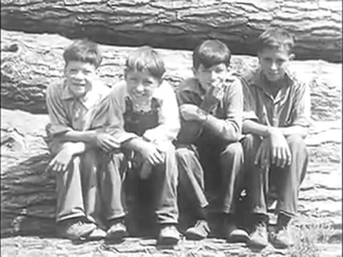 Children sitting on logs, a forest fire ... | Stock Video | Pond5