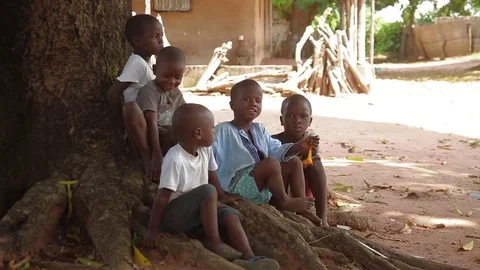 Children sitting in mango tree, village ... | Stock Video | Pond5
