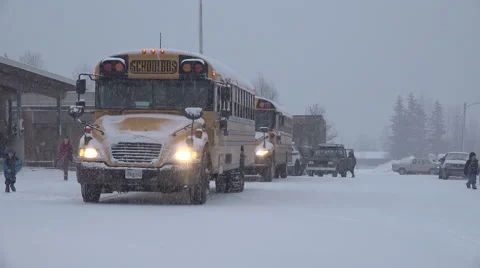 School Bus Loading Stock Videos – Royalty-Free HD & 4K Videos