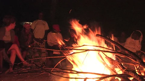 Campfire Kids Stock Video Footage | Royalty Free Campfire Kids Videos ...