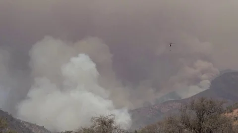 Chile heat wave fuels wildfires as autho... | Stock Video | Pond5