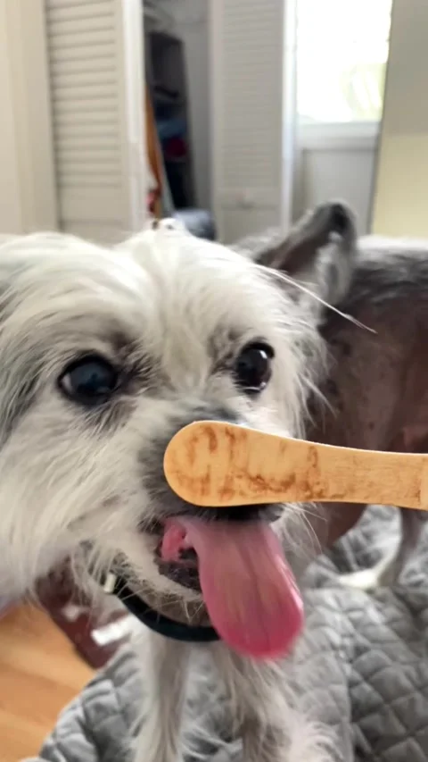 Chinese Pept Stock Videos – Royalty-Free HD & 4K Videos