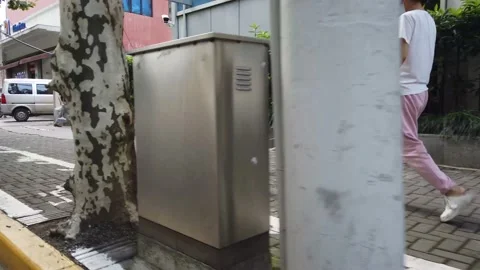 Running Dog Chinese Stock Videos – Royalty-Free HD & 4K Videos