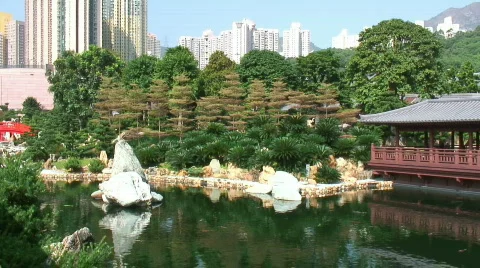 Chinese Pond Stock Footage ~ Royalty Free Stock Videos | Pond5