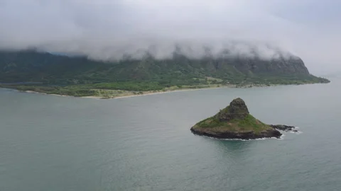 Chinese Top Man Stock Videos – Royalty-Free HD & 4K Videos | Pond5