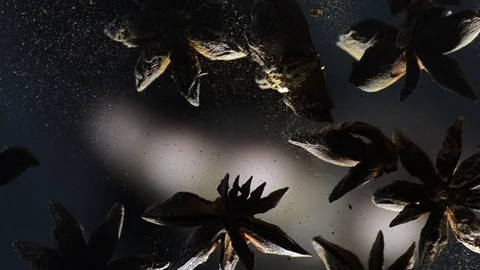 Chinese Eyea Stock Videos – Royalty-Free HD & 4K Videos