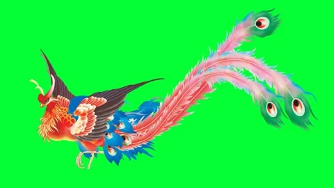 chinese traditional bird background and ... | Stock Video | Pond5