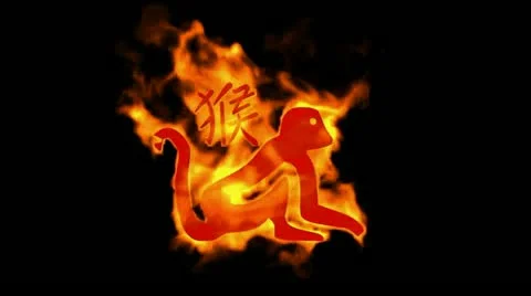 Chinese Zodiac Monkey Stock Video Footage | Royalty Free Chinese Zodiac ...