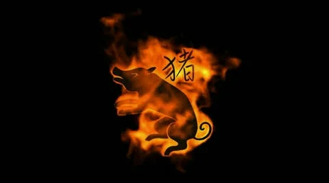 chinese zodiac of fire pig and handwriti... | Stock Video | Pond5