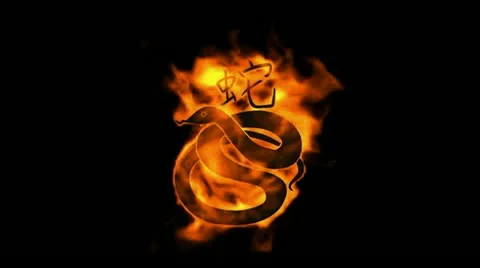chinese zodiac of fire snake and handwri... | Stock Video | Pond5