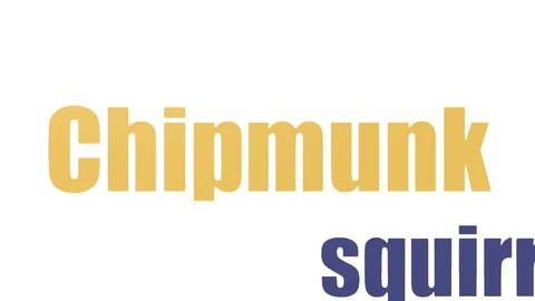 Chipmunk Word Cloud Animated On White Ba... | Stock Video | Pond5