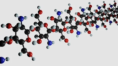 Chitin long chain isolated in the white ... | Stock Video | Pond5