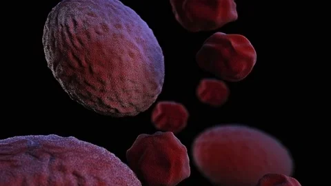 Chlamydia Stock Videos – Royalty-Free HD & 4K Videos