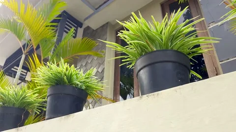 Lined Walls Stock Videos – Royalty-Free HD & 4K Videos | Pond5