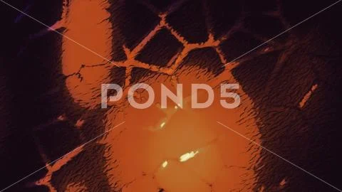 Chloroplast cell animation under the microscope. Motion. Microscopic formation: Royalty Free ...