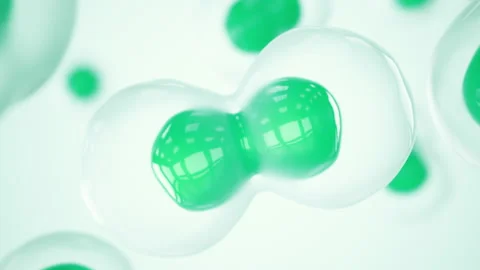 Chloroplast eukaryotic cell animation un... | Stock Video | Pond5