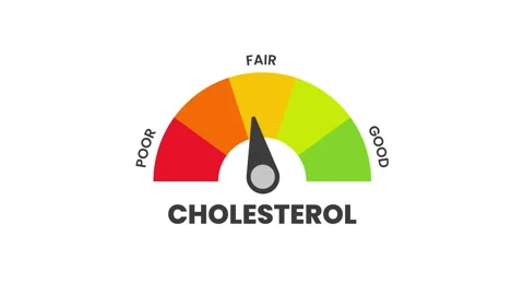 Poor Cholesterol Stock Videos – Royalty-Free HD & 4K Videos | Pond5