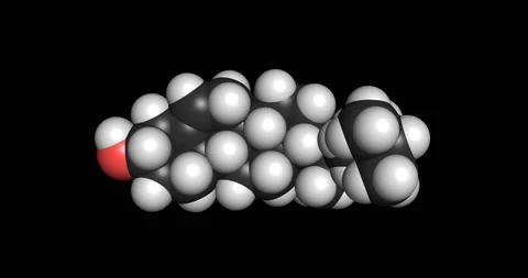 Lipids Stock Footage ~ Royalty Free Stock Videos | Pond5