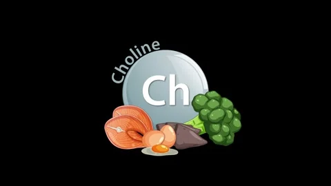 Choline Nutrient Animation With Food Sou... | Stock Video | Pond5
