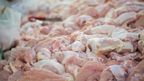 Fresh Chicken Meat Stock Video Footage | Royalty Free Fresh Chicken ...