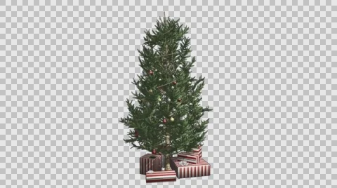 Christmas Tree Alpha Channel Stock Video Footage | Royalty Free ...