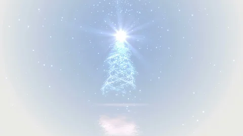 Christmas Tree Loop Stock Footage ~ Royalty Free Stock Videos | Pond5
