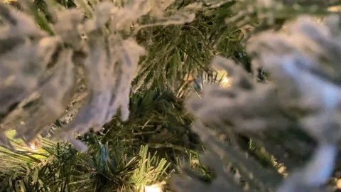 Christmas Tree Pan Up | Stock Video | Pond5