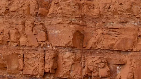 Triassic Stock Video Footage | Royalty Free Triassic Videos | Pond5