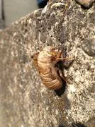 James Orlowski ~ Artist Portfolio ~ Art for Sale | Pond5