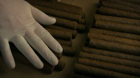 Cigar Maker Sorting Cigars On Table | Stock Video | Pond5