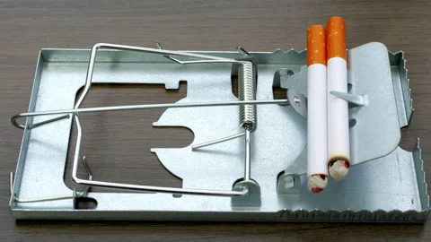 Cigarettes on a spring loaded trap. | Stock Video | Pond5