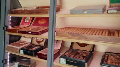 Cigar Display Stock Video Footage | Royalty Free Cigar Display Videos ...