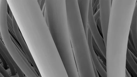 Ciliated tissue, animation | Stock Video | Pond5