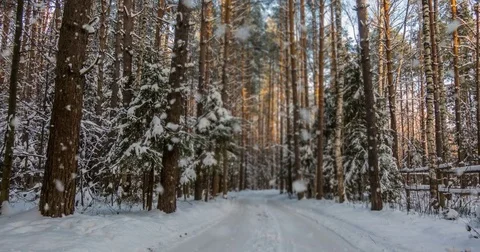 CINEMAGRAPH, 4k, falling snow in the win... | Stock Video | Pond5