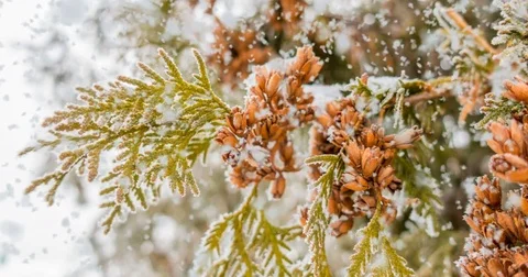CINEMAGRAPH, 4k, falling snow in the win... | Stock Video | Pond5
