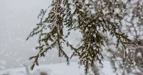 CINEMAGRAPH, 4k, falling snow in the win... | Stock Video | Pond5