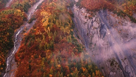 Cinemagraph Loop - Autumn Trees and Wate... | Stock Video | Pond5