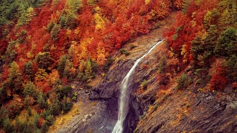 Cinemagraph Loop - Pine Trees and Waterf... | Stock Video | Pond5