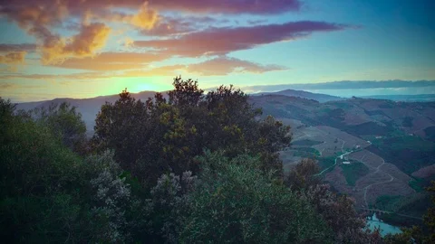 Cinemagraph Loop - Sunset on the Trees, ... | Stock Video | Pond5