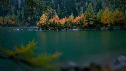Cinemagraph Loop - Trees across the Lake... | Stock Video | Pond5
