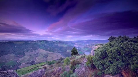 Cinemagraph Loop - Trees on the Hills at... | Stock Video | Pond5