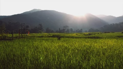 Horizon Cinematic Camera Stock Videos – Royalty-Free HD & 4K Videos ...