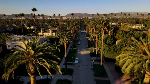 Cinematic aerial shot of iconic palm tre... | Stock Video | Pond5