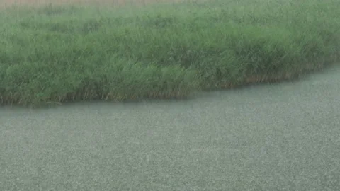 Cinematic background of Rainy Weather. H... | Stock Video | Pond5